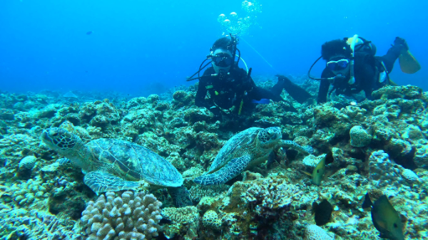 25/08/21 OW＆AOW講習 無事認定です！ 慶良間｜沖縄ダイビングサービス 潜水屋